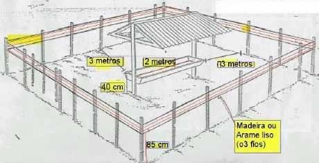 O que é creep-feeding e quais as vantagens no uso em bovinos? | Blog